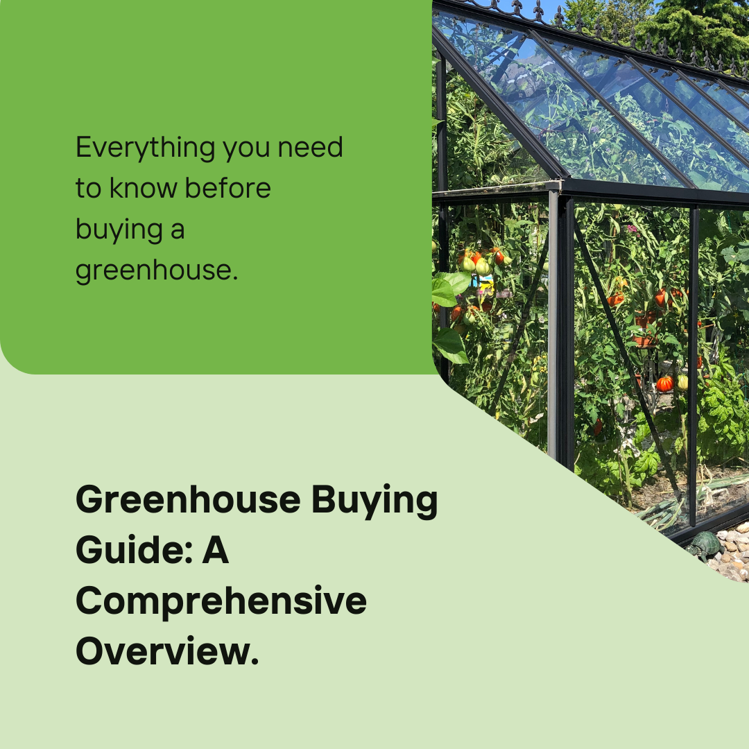 Top Greenhouse Buying Guide - Expert Tips For Smart Gardening